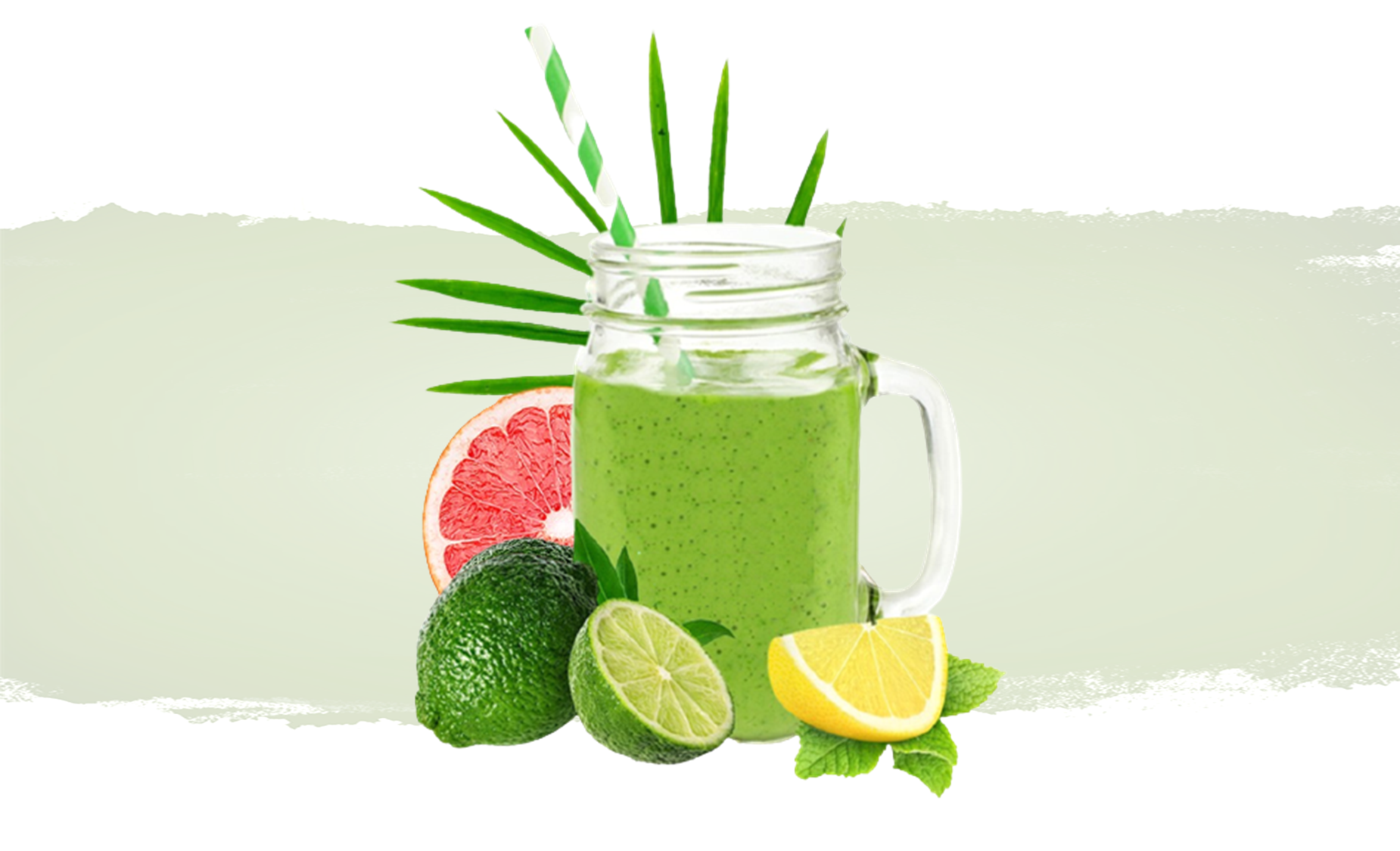 Nosotros – Santa Fruta